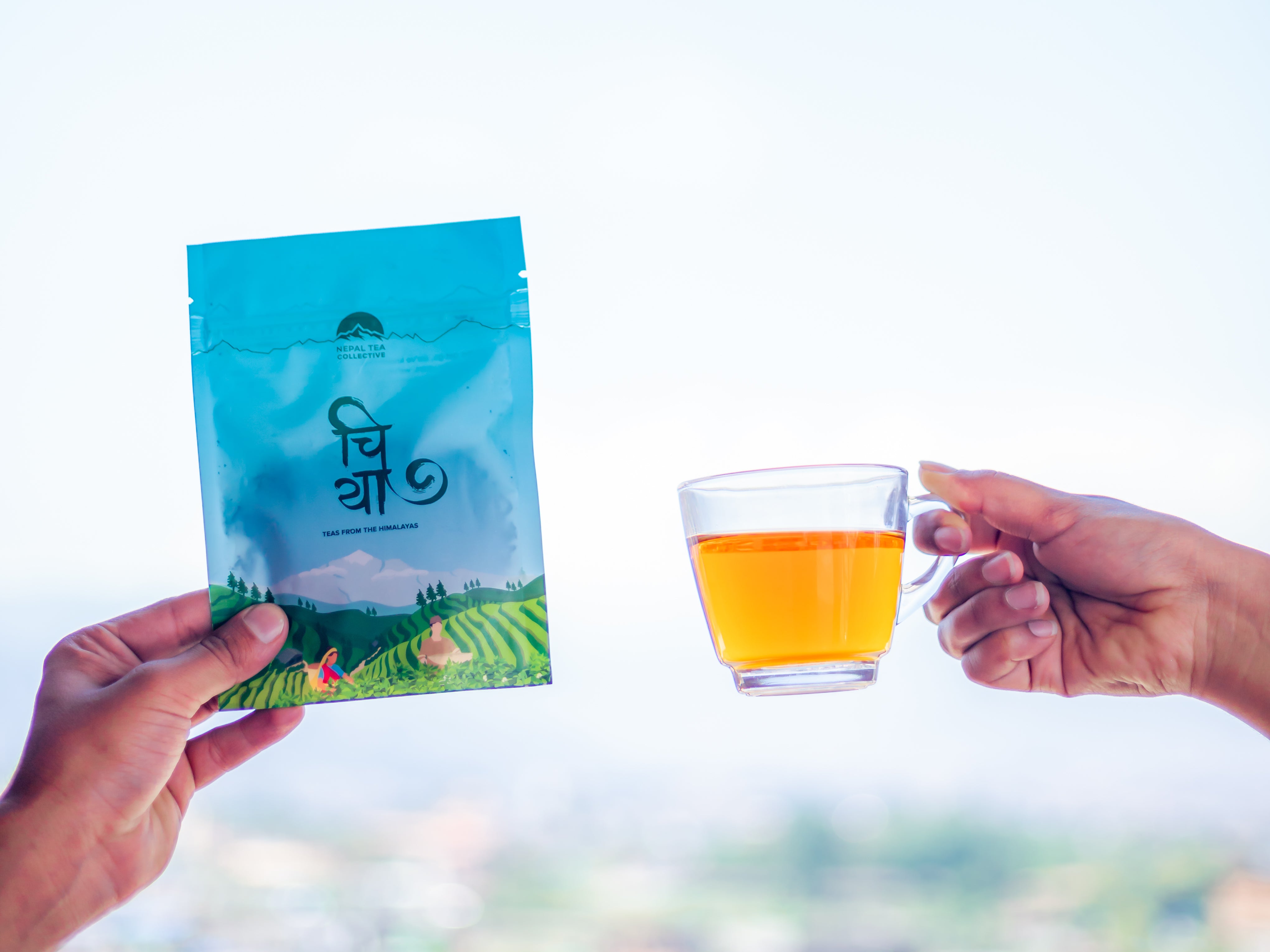 Everest Black: Highest Elevation Tea – Nepal Tea Wholesale